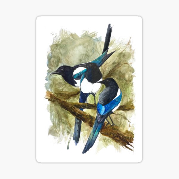 "Three For a Girl - Magpie Painting - Original Watercolour Artwork ...