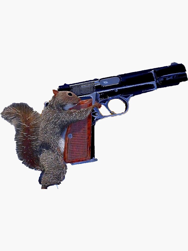 "Squirrel with a gun Sticker" Sticker for Sale by mariealdaha | Redbubble