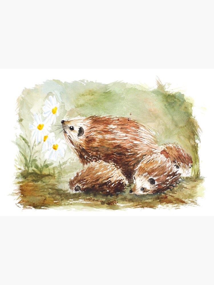"Cute Hedgehog Mother and Hoglets - Original Watercolour Artwork ...