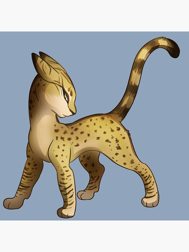 "Leopardstar" Poster for Sale by Draikinator | Redbubble