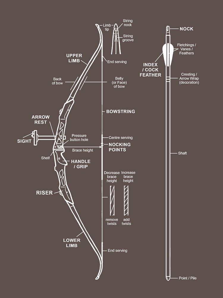 Anatomy Of A Bow