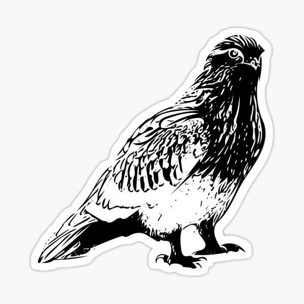 " Rough Legged Hawk Buzzard Black Design" Sticker for Sale by ...