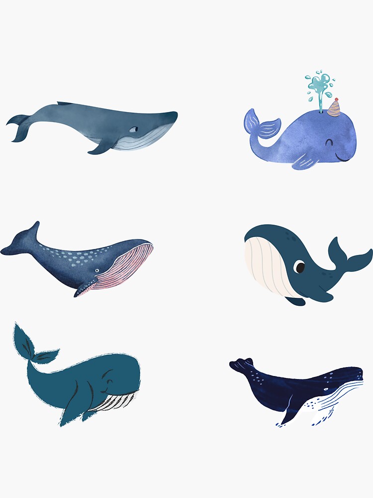 "Whales Sticker" Sticker for Sale by 4yoursmile | Redbubble
