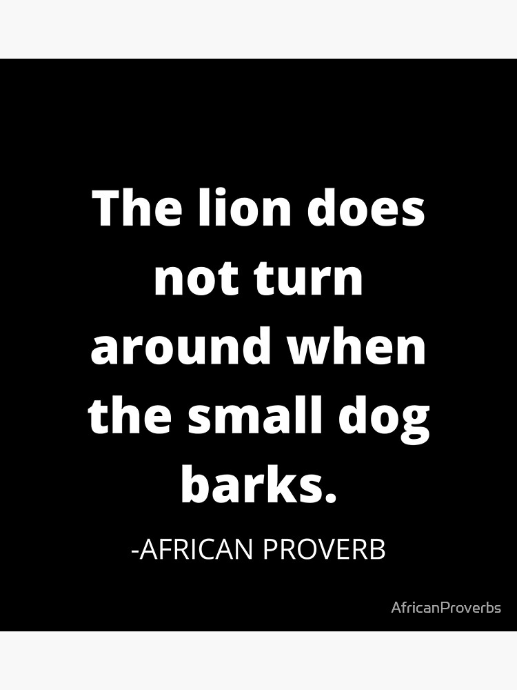 "African proverb- The lion does not turn around when the small dog ...