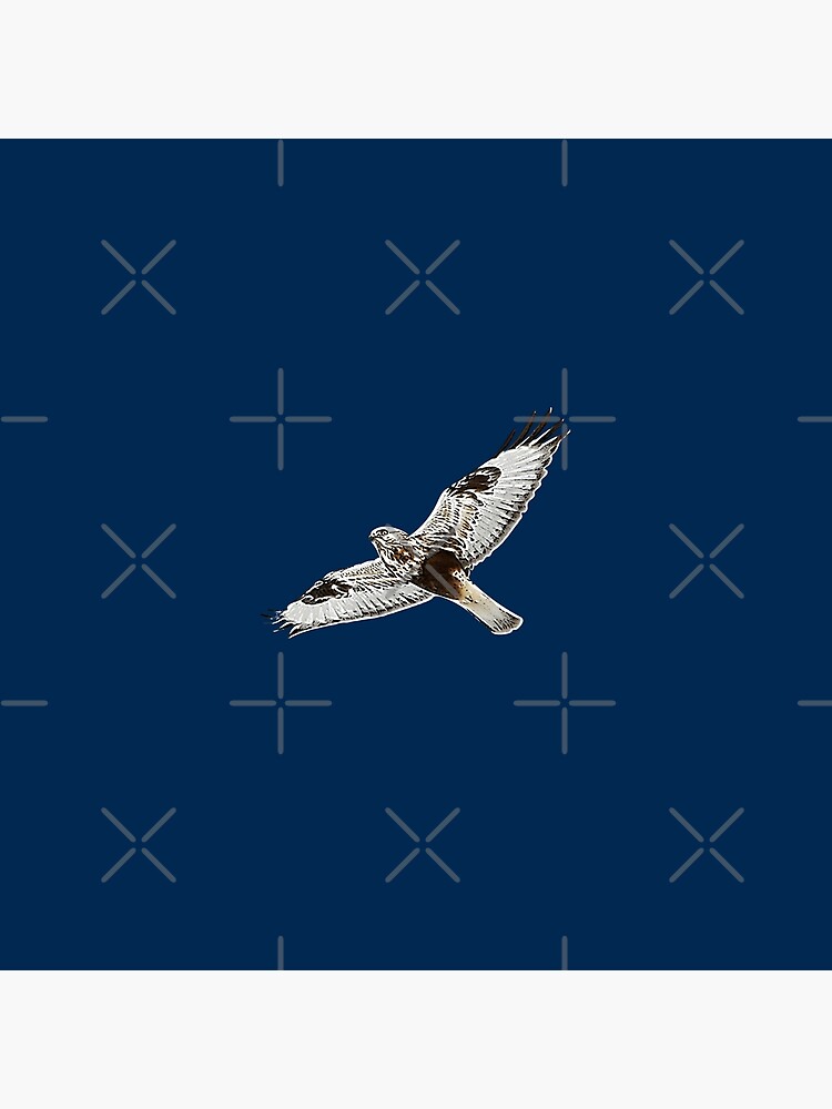 "Rough Legged Hawk Buzzard Flying White Alternate Design" Poster for ...
