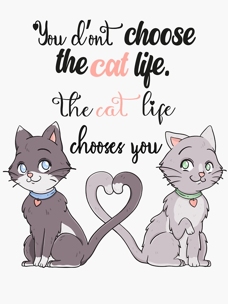 "you d’ont choose the cat life. the cat life chooses you" Sticker for ...