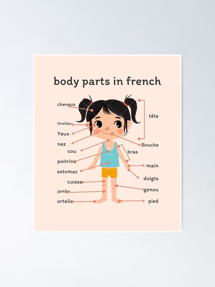 Body Parts In French Poster at Ralph Low blog