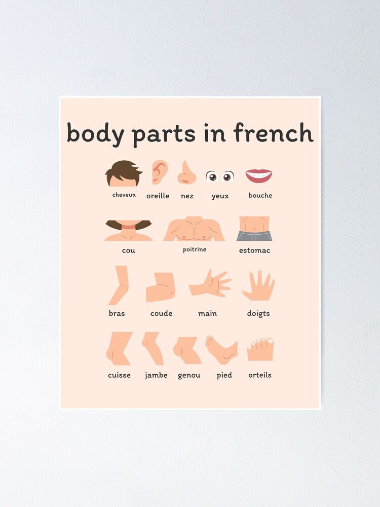 Body Parts In French Poster at Ralph Low blog