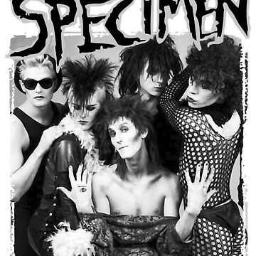 "Mens Womens Specimen Band Animal Lucky Gift" Sticker for Sale by ...