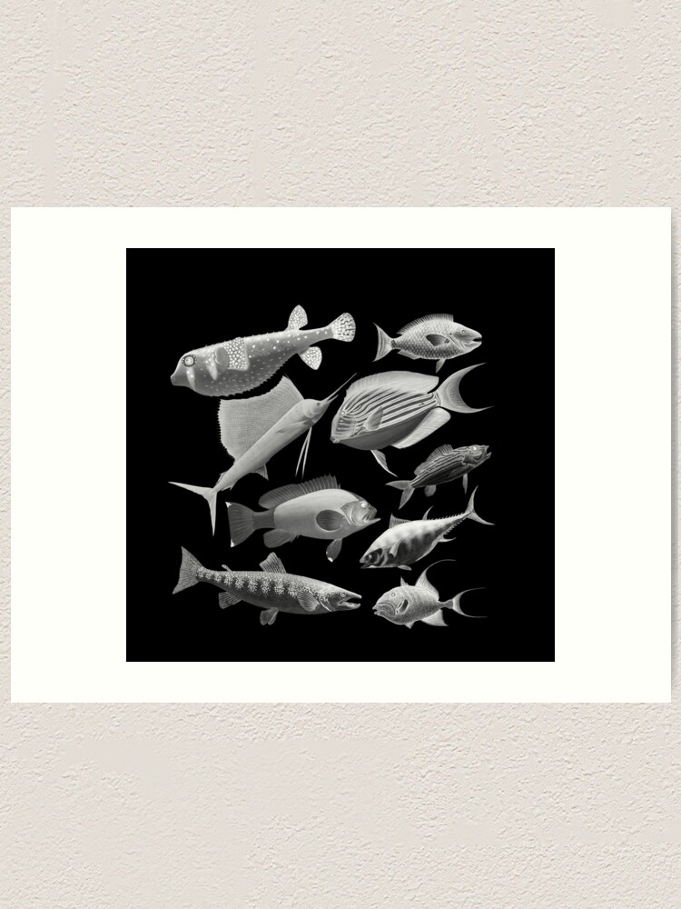 "Black and White Tropical Fish - Eerie Fish, Creepy Undersea Scene ...