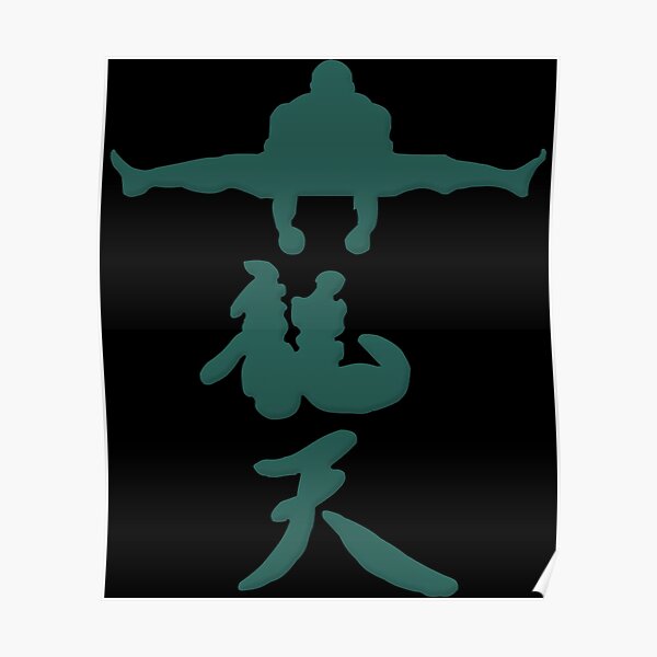 Póster «Sistema de Artes Marciales Mixtas de Bas Rutten» de DONALDAKIN8 ...