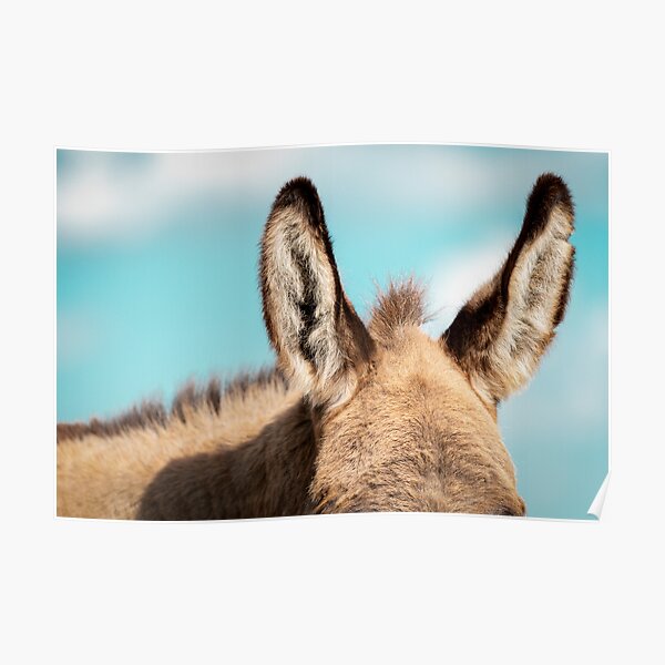 "Cute donkey ears" Poster for Sale by M-Hutterer | Redbubble