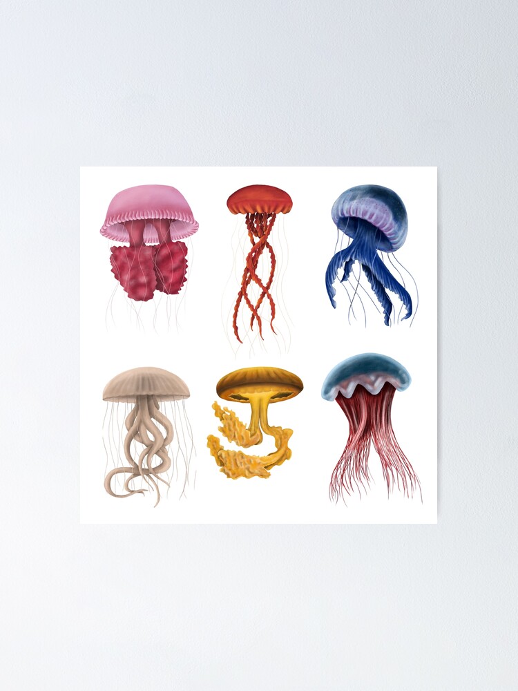 "Jellyfish " Poster for Sale by joieraw | Redbubble