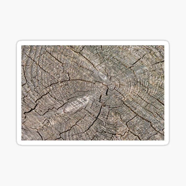 "Wood Texture" Sticker for Sale by TheNordicNature | Redbubble