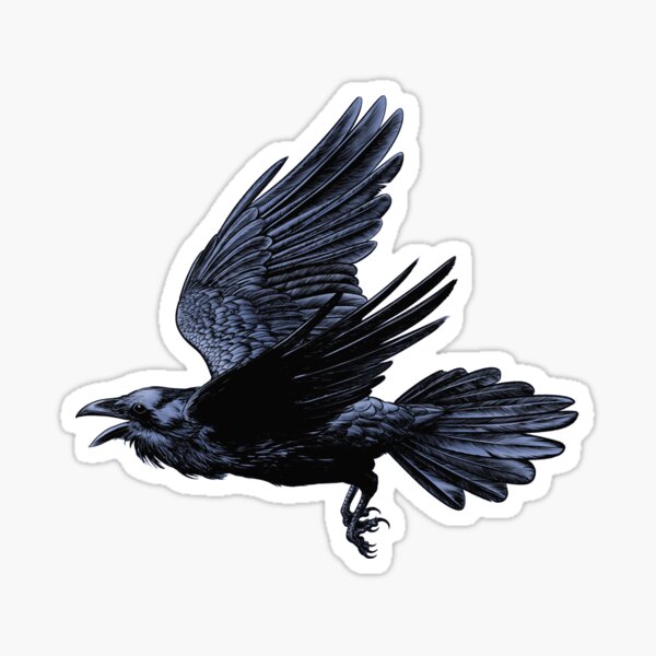 "Raven in Flight" Sticker for Sale by Hareguizer | Redbubble