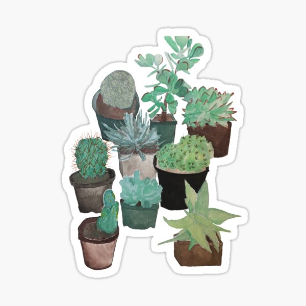 "Pile o' Succulents" Sticker by kyraaaa | Redbubble