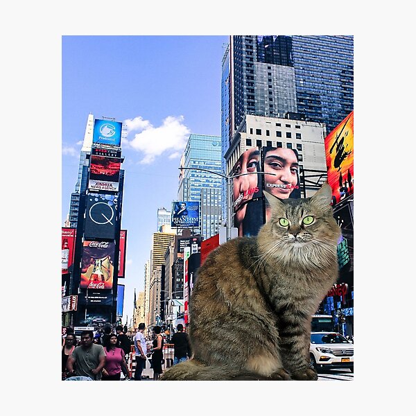 "Surreal photos with giant cats in New York. Catzilla. Photoshop design ...