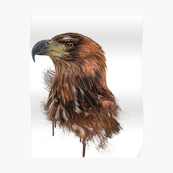"Falcon art" Poster for Sale by hasaka | Redbubble