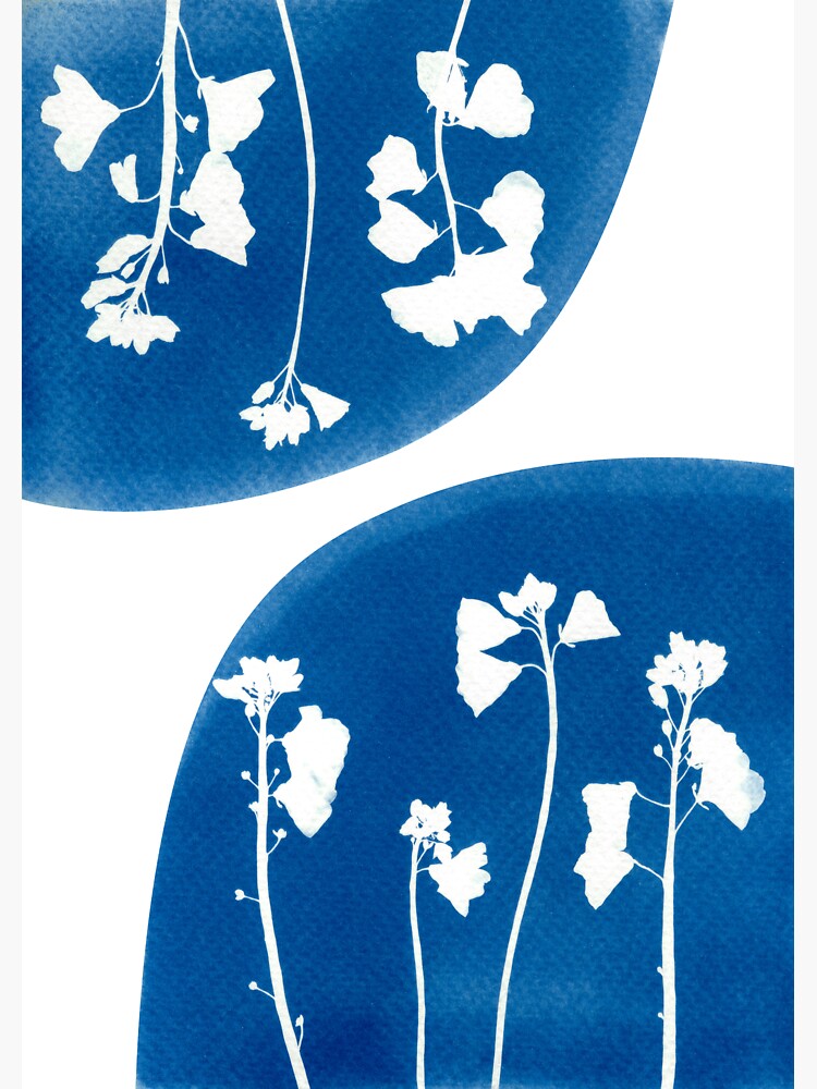 "Cyanotype - Pressed flowers Art Print" Sticker for Sale by Peep-Up ...