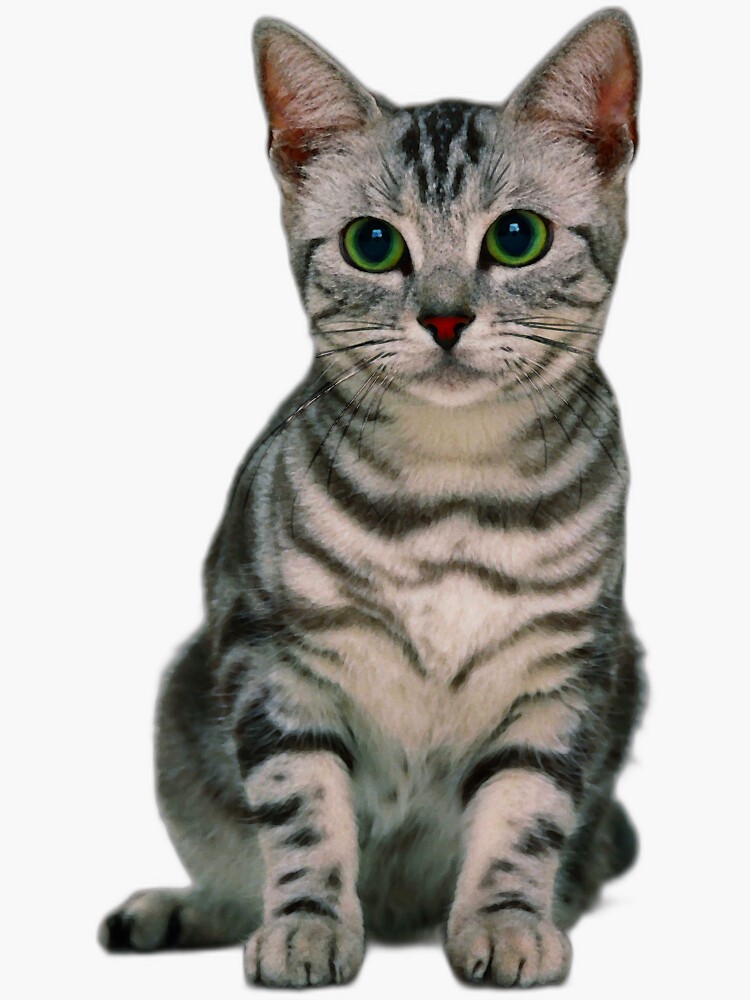 "Cute Sitting Cat" Sticker for Sale by ros0es | Redbubble