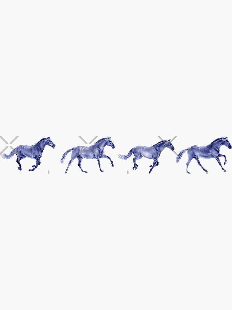 "Galloping horse 1 to 4 - blue colorized version" Sticker for Sale by ...