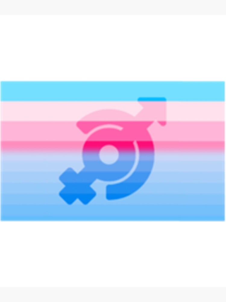 Póster «Bandera del orgullo de Femboy Bandera del orgullo del orgullo ...