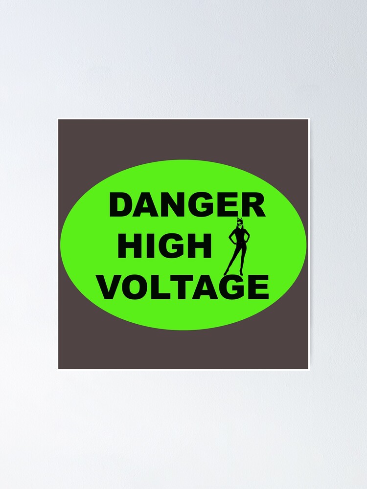 "DANGER HIGH VOLTAGE cat lady industrial style sign" Poster for Sale by ...