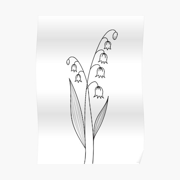 "Lily of the Valley flower fine line art" Poster for Sale by Lorena ...