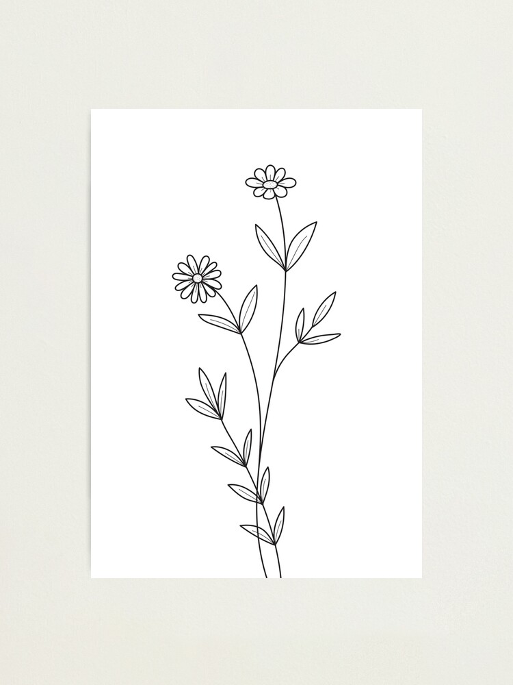 "Daisy flower fine line art" Photographic Print for Sale by Lorena ...
