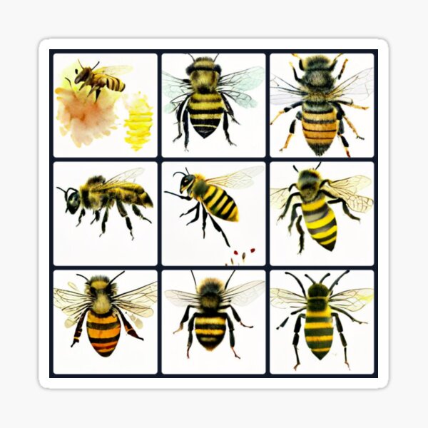 "Honey Bee Pack" Sticker for Sale by CinderPress | Redbubble