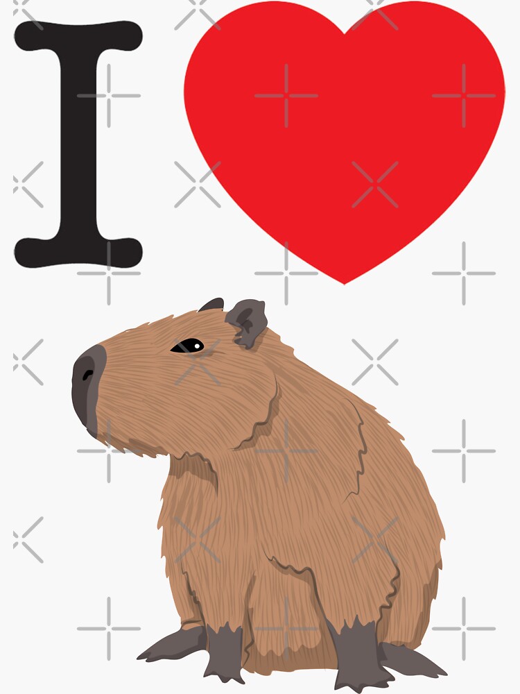 "I love Capybara" Sticker for Sale by DGabriel | Redbubble