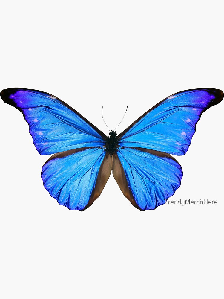 "Beautiful vintage blue butterfly" Sticker for Sale by TrendyMerchHere | Redbubble