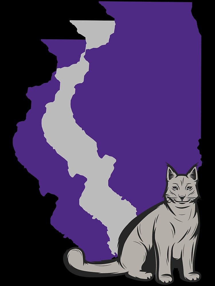 "Illinois Border, Wildcats" Poster for Sale by LatterDaze | Redbubble