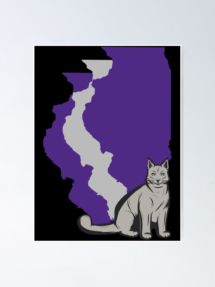 "Illinois Border, Wildcats" Poster for Sale by LatterDaze | Redbubble