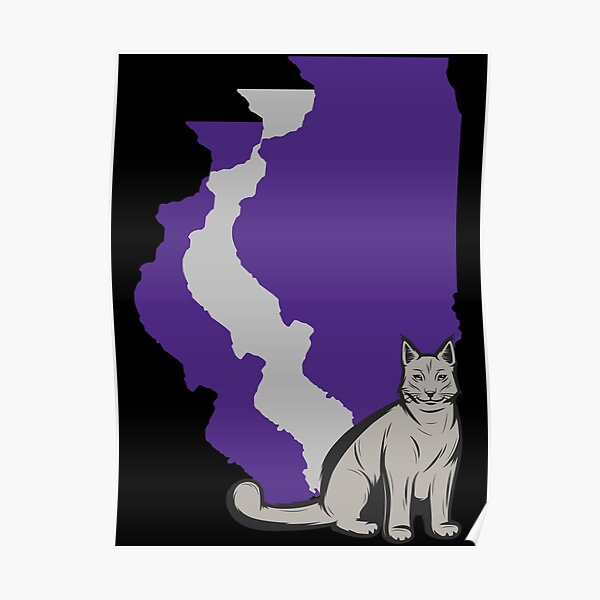 "Illinois Border, Wildcats" Poster for Sale by LatterDaze | Redbubble