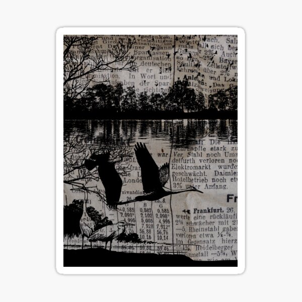Swan Sticker For Sale By Zaysforart Redbubble