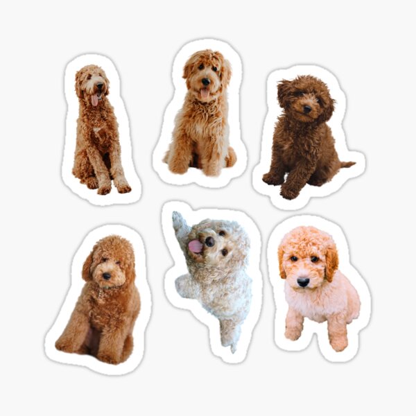 "Doodle party Sticker Pack | Golden Doodle Sticker | Goldendoodle ...