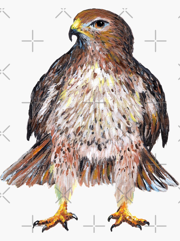"Red Tailed Hawk" Sticker for Sale by TiffanyRoy | Redbubble
