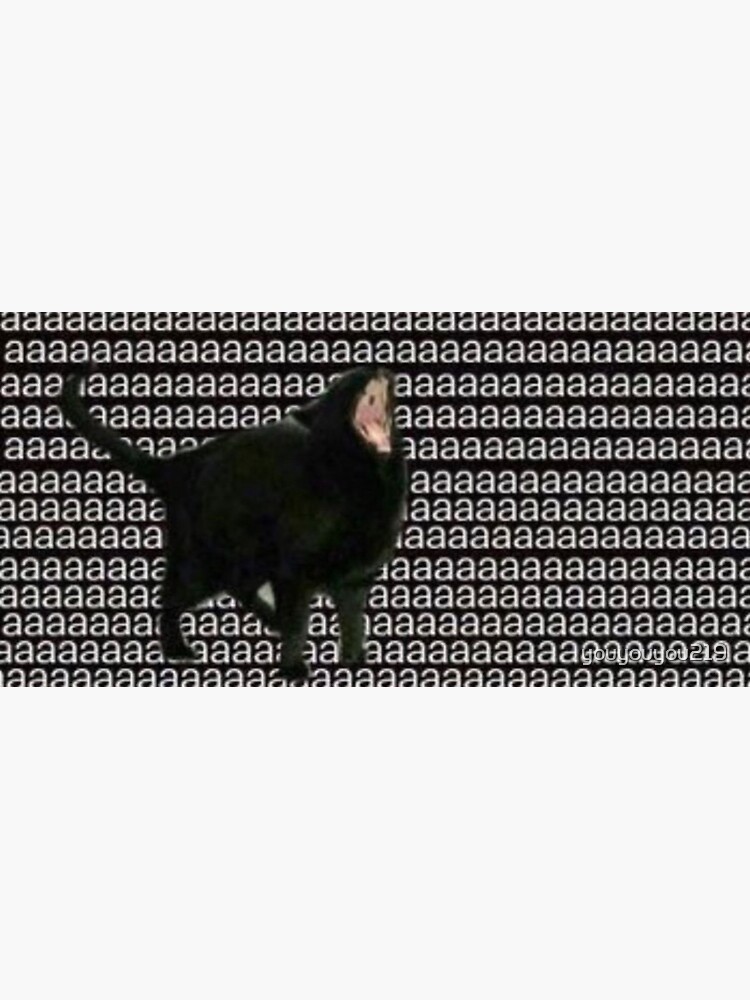 "AAAAAAAAAAAAAAAAA cat" Photographic Print for Sale by youyouyou219 ...