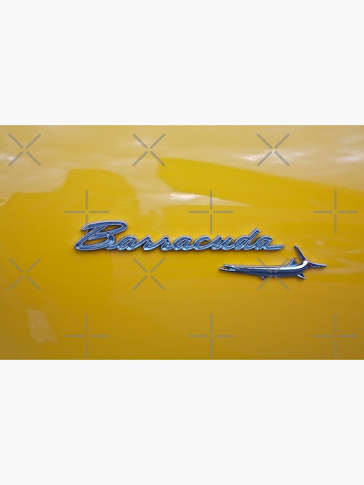 "Barracuda" Poster for Sale by LindaB | Redbubble