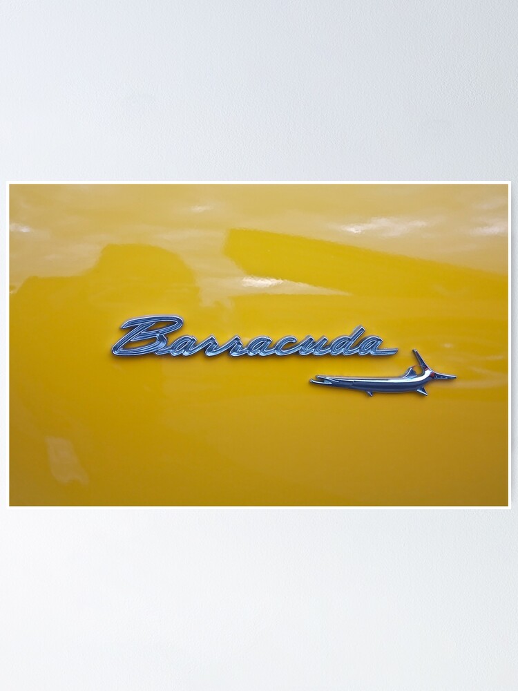 "Barracuda" Poster for Sale by LindaB | Redbubble