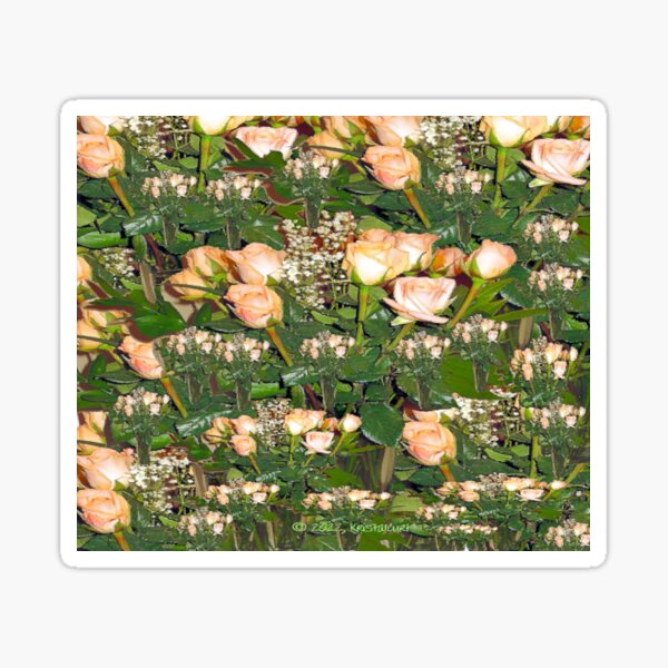"Brushed Peach Roses" Sticker for Sale by kristalcurt | Redbubble