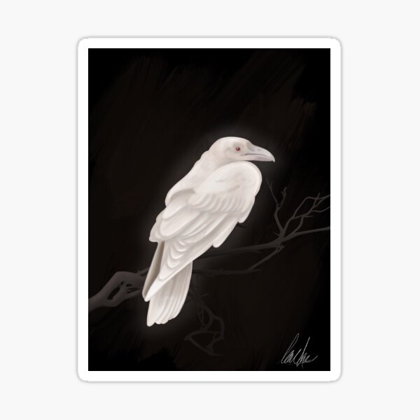 "Albino Raven" Sticker for Sale by the-noir-arts | Redbubble