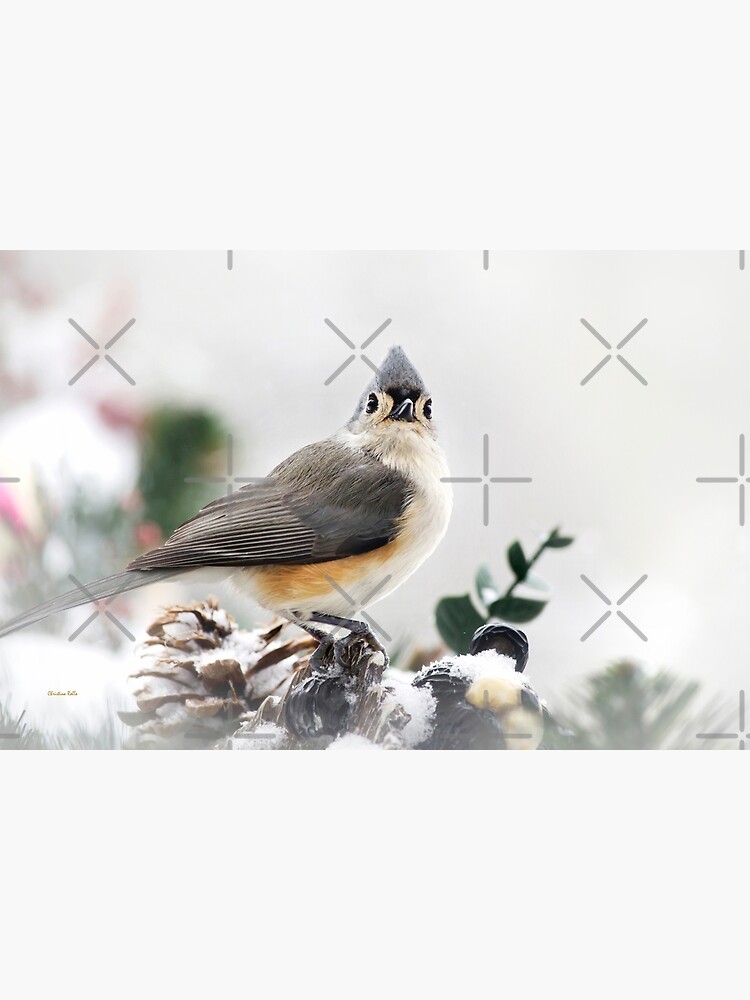 "Titmouse Bird in Snow" Poster for Sale by rollosphotos | Redbubble