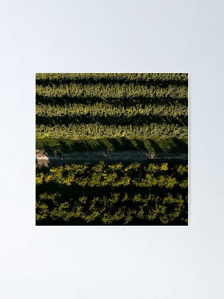 "Igorot Pattern" Poster for Sale by EpicDesignex | Redbubble