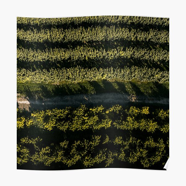 "Igorot Pattern" Poster for Sale by EpicDesignex | Redbubble