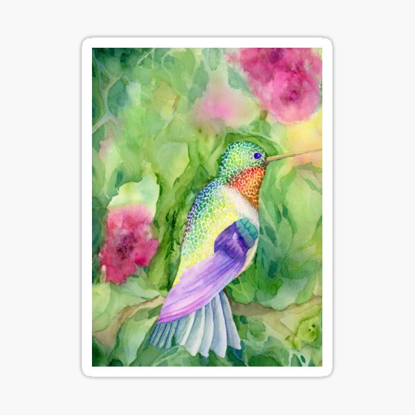 "Colibri" Sticker for Sale by kizook | Redbubble