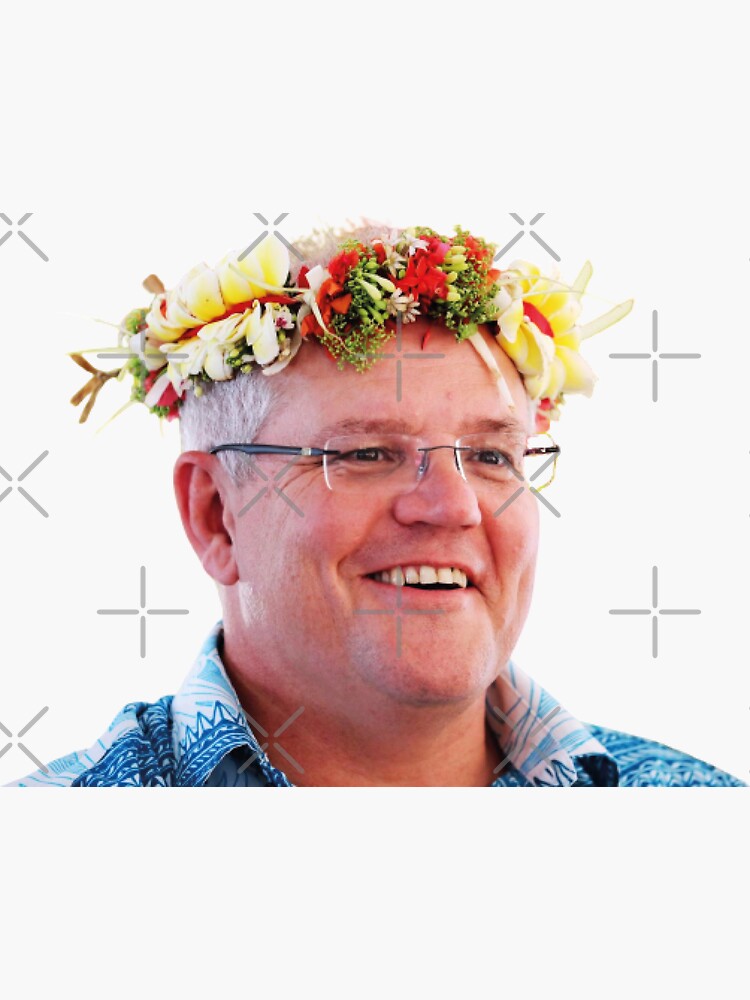 "scott morrison memes face funny australian politics comedy scomo ...