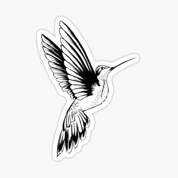 "Hummingbird line art" Sticker for Sale by Selint387 | Redbubble
