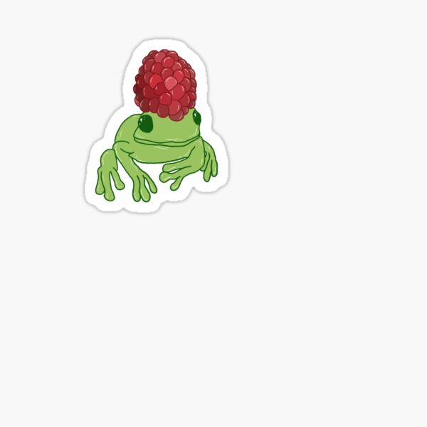 "frog in raspberry hat" Sticker for Sale by ebeehappy | Redbubble